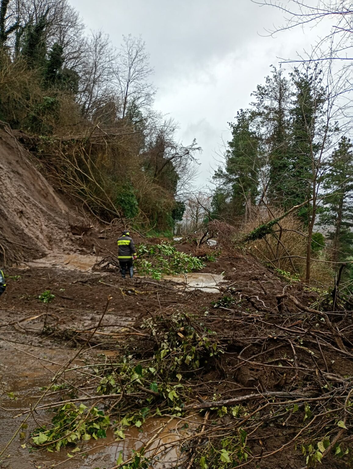 Sant'Angelo a Cupolo, frana sulla SP 12: fango e alberi sulla ...