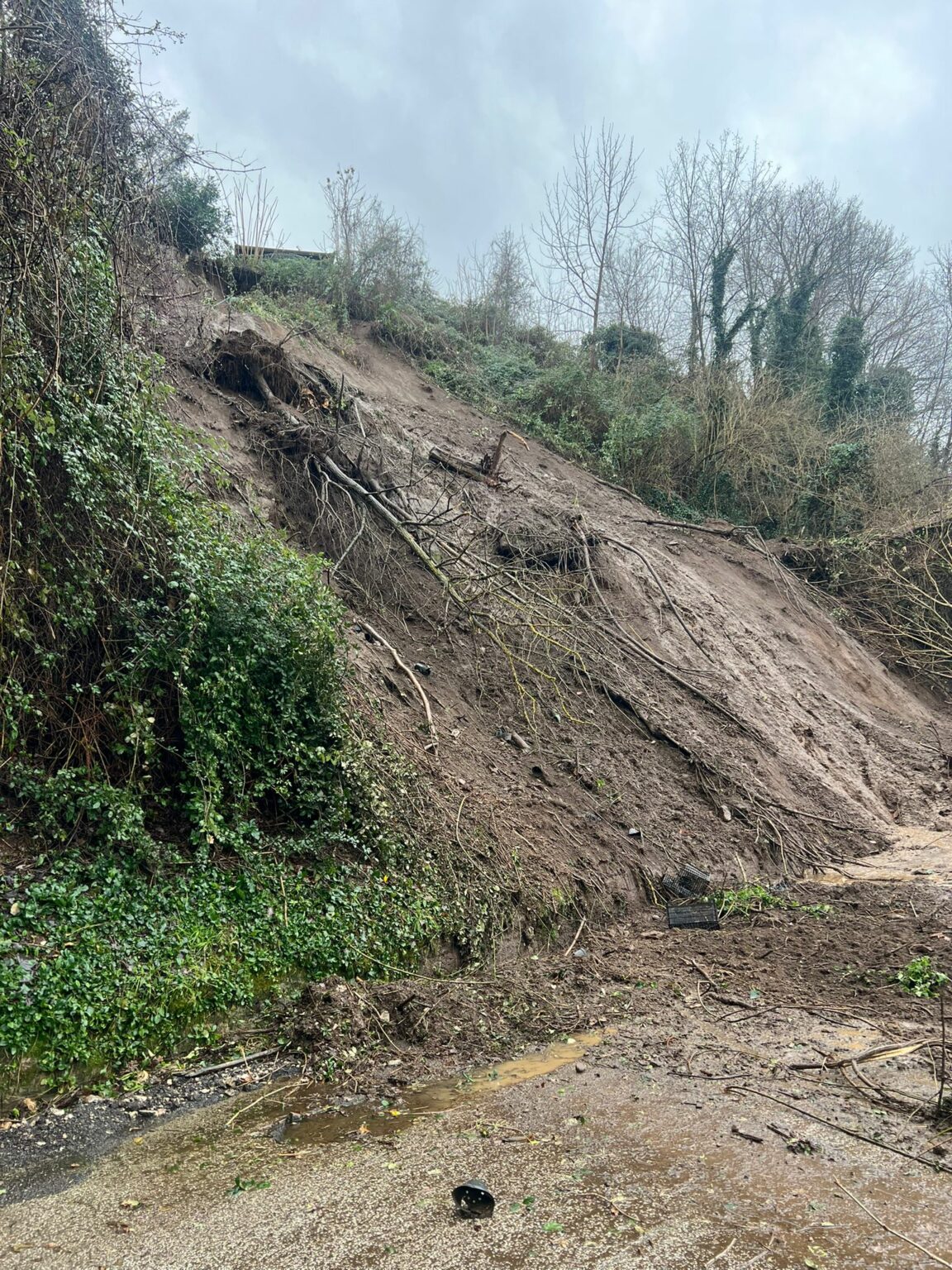 Sant'Angelo a Cupolo, frana sulla SP 12: fango e alberi sulla ...