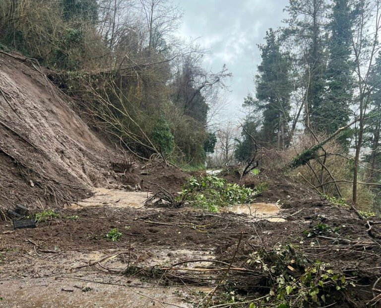 Sant'Angelo a Cupolo, frana sulla SP 12: fango e alberi sulla ...